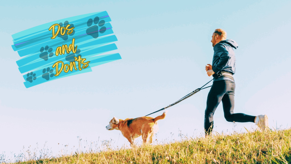 Run with Your Dog: The Ultimate Guide