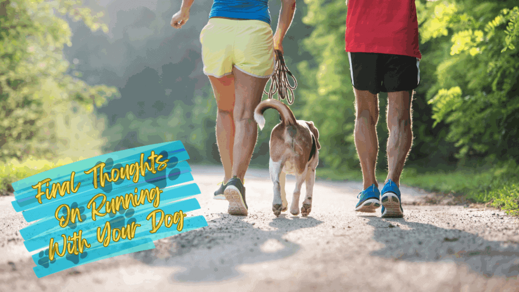 Run with Your Dog: The Ultimate Guide